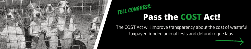 Contact Congress – banners – White Coat Waste Project