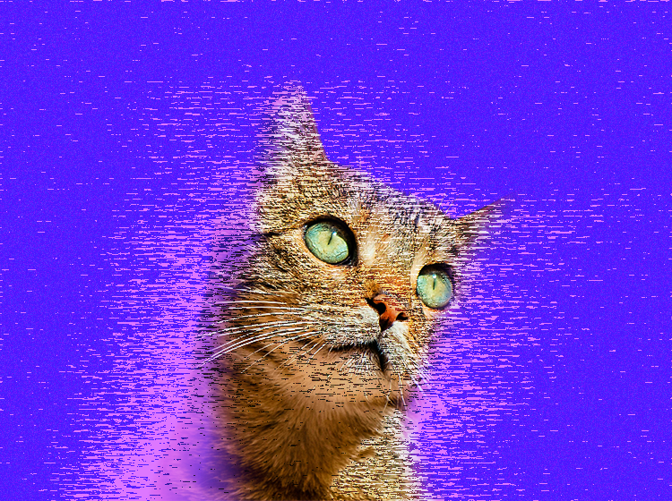 WCW Investigation: Tiny Kittens Tortured in NIH-Funded University of ...
