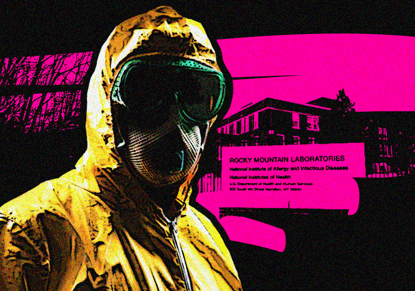 EXCLUSIVE: Whistleblower Alleges NIH in “Full Coverup Mode” Over Monkey ...